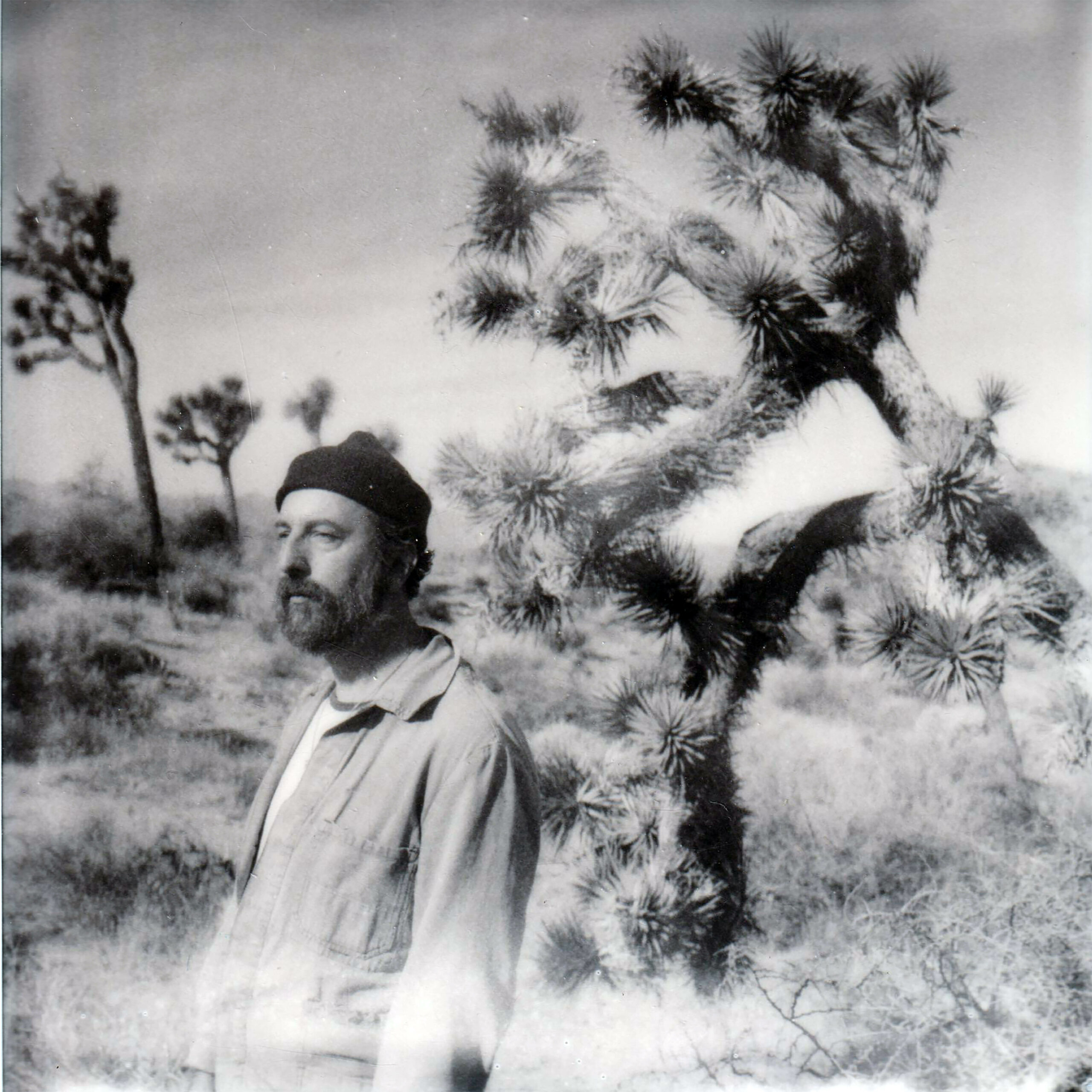 Herman Düne – Session – POPnews